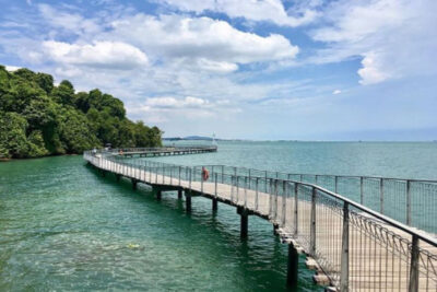 Best Nature Attractions in Singapore - NuVe Group